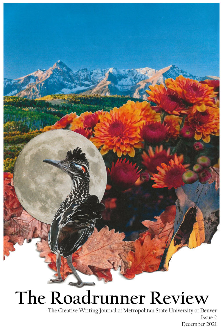 Issue 2 – Roadrunner Review